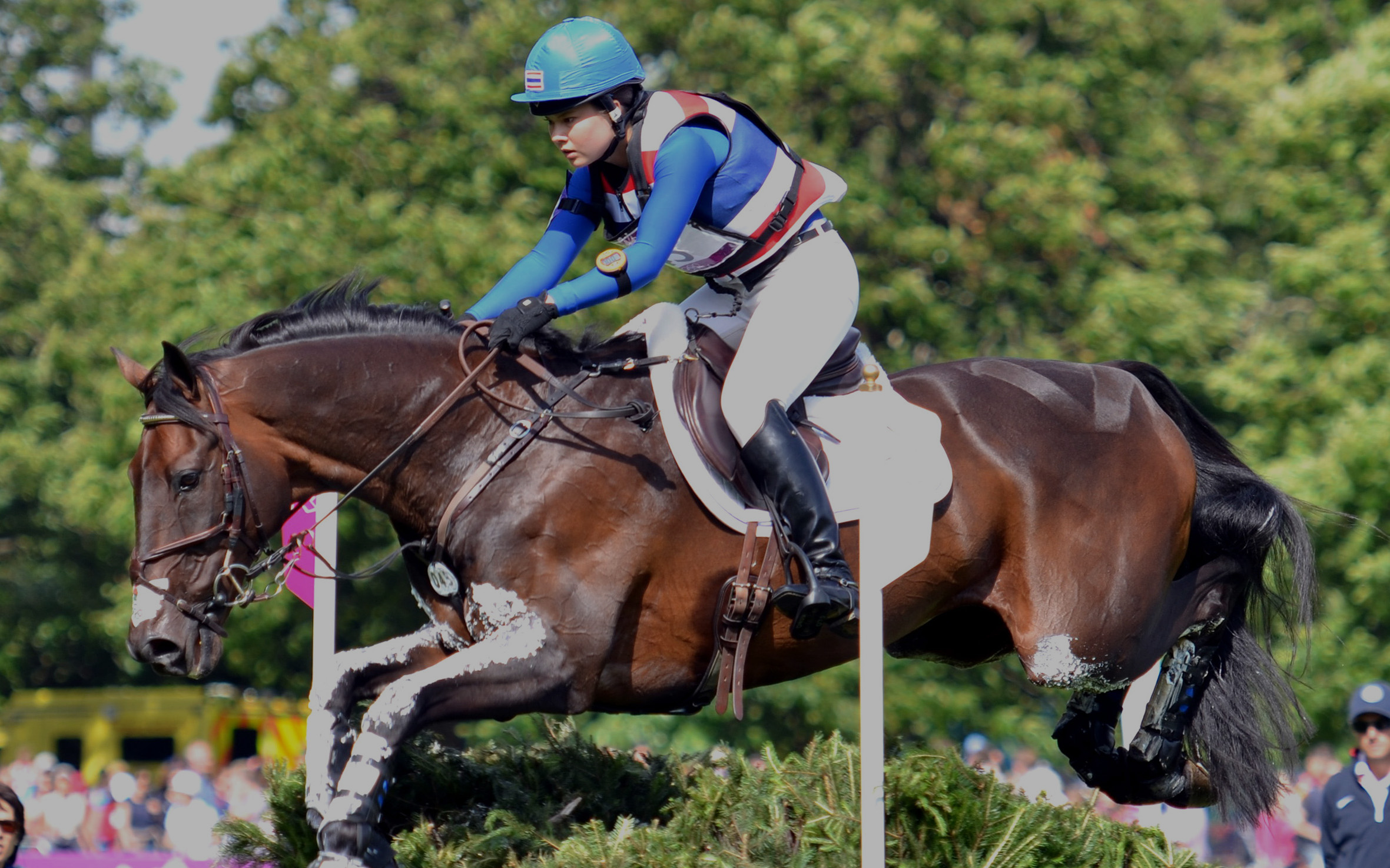 Equestrian - B.Grimm | EN