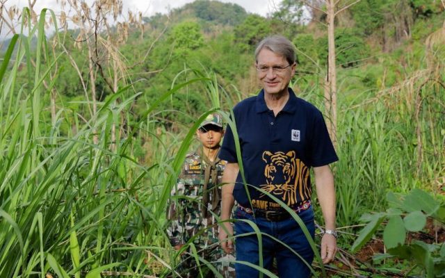 WWF Thailand Embraces Global Tiger Recovery Program - B.Grimm | EN